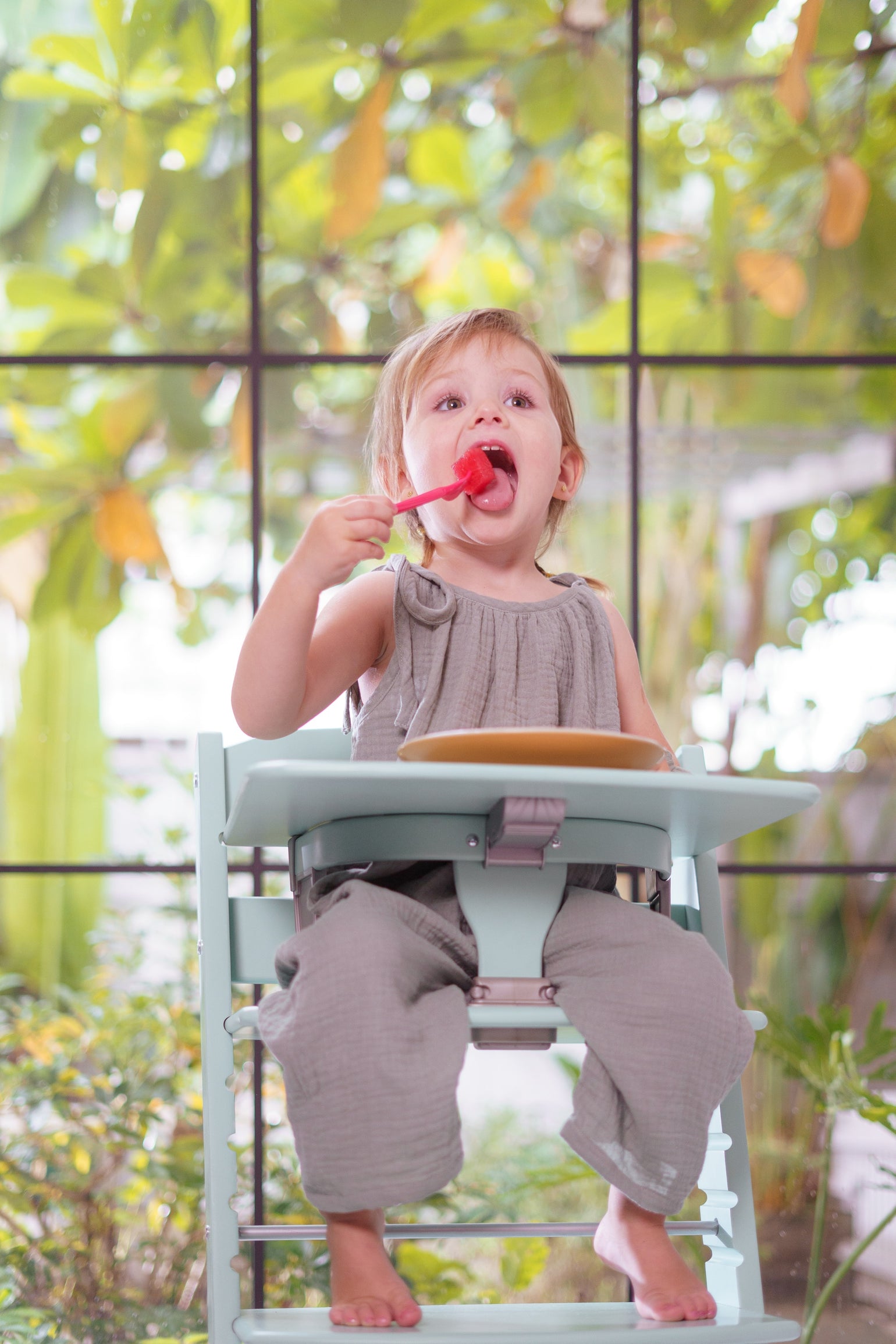 SYT ghế ăn dặm – houzzy.com